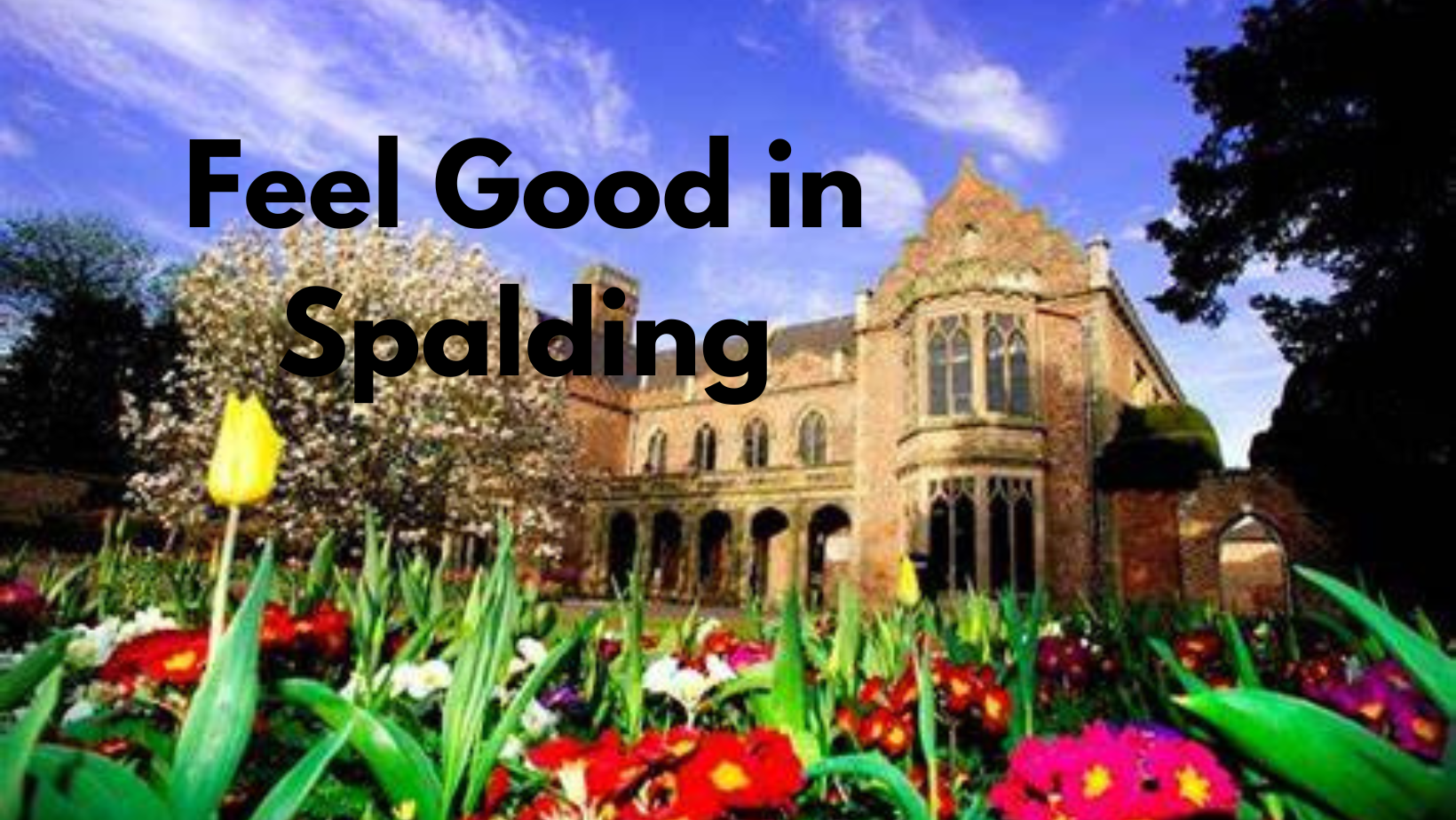 Feel Good Therapy – Working to achieve complete and lasting health